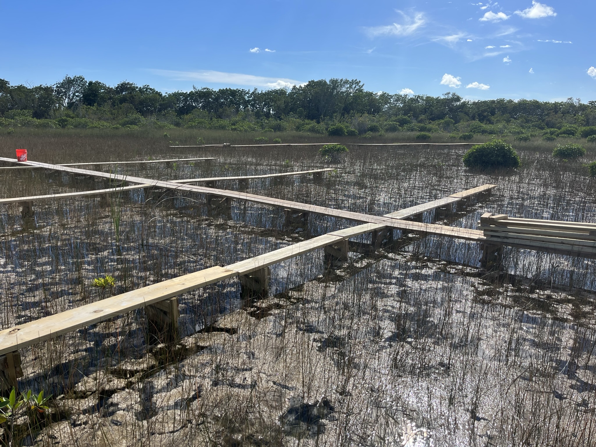 Current Research Projects – Wetland Ecosystems Research Lab