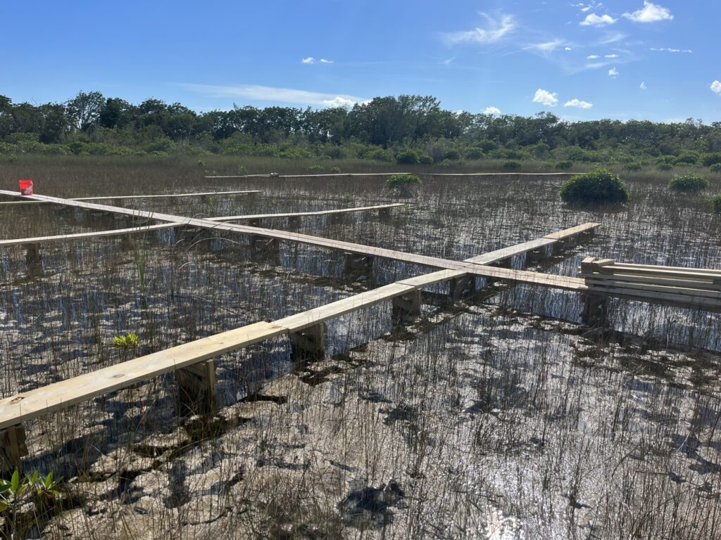 Model Lands Project – Wetland Ecosystems Research Lab